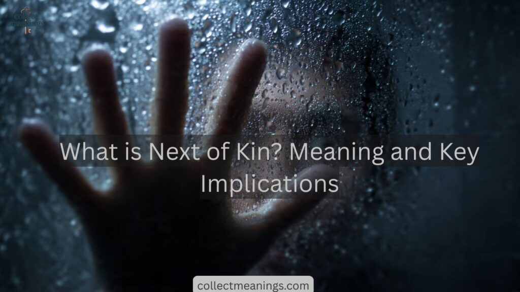 What is Next of Kin? Meaning and Key Implications - collect meanings
